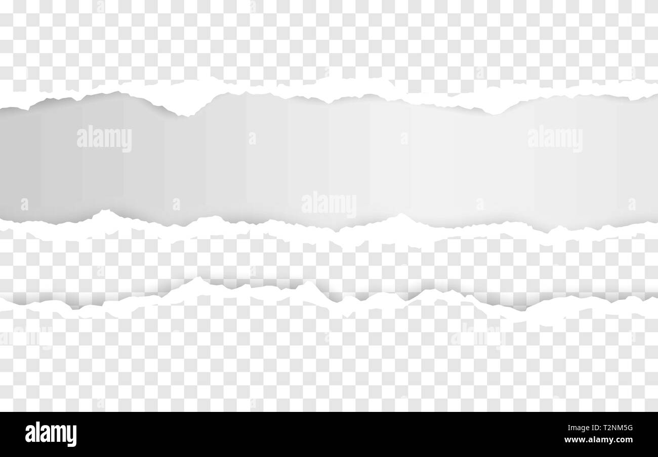 Horizontal torn paper edge. Ripped squared horizontal white paper ...
