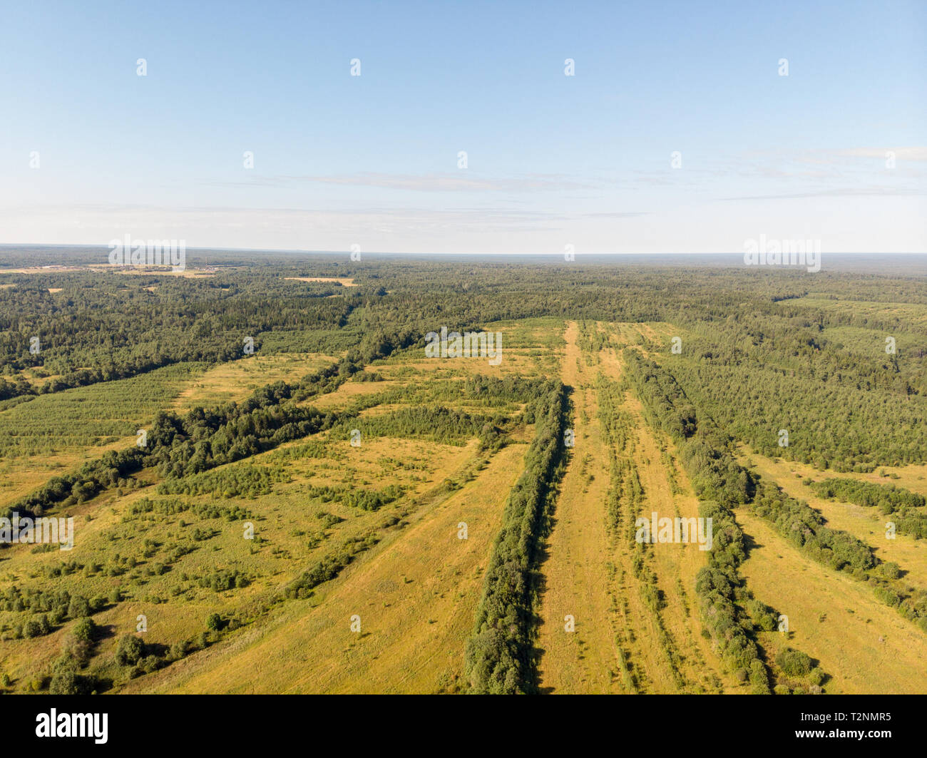 Forest scene from above hi-res stock photography and images - Alamy