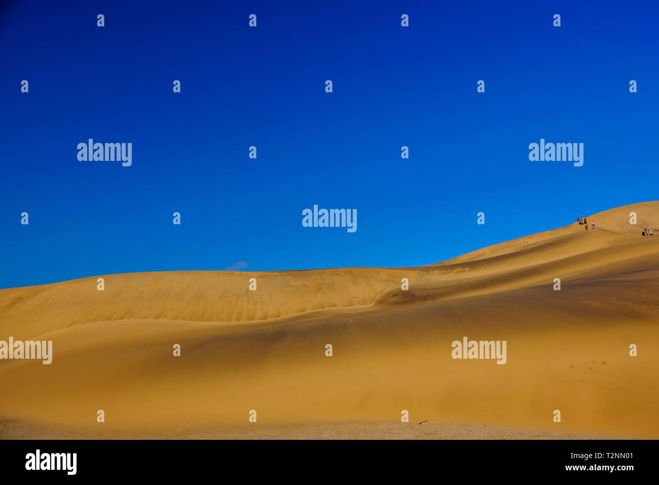 Dune 7 Namibia High Resolution Stock Photography and Images - Alamy