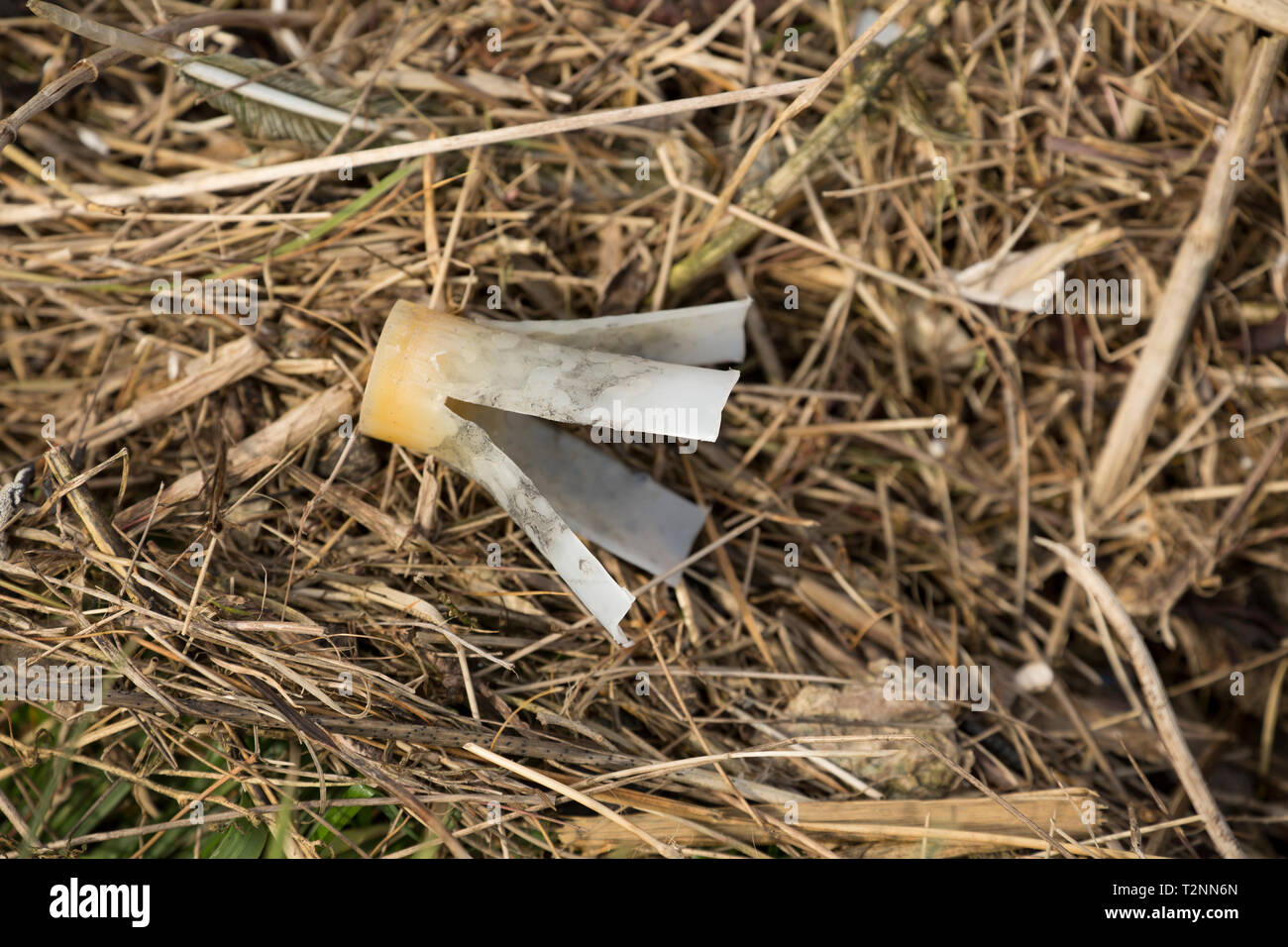 Shotgun cartridge wad hi-res stock photography and images - Alamy