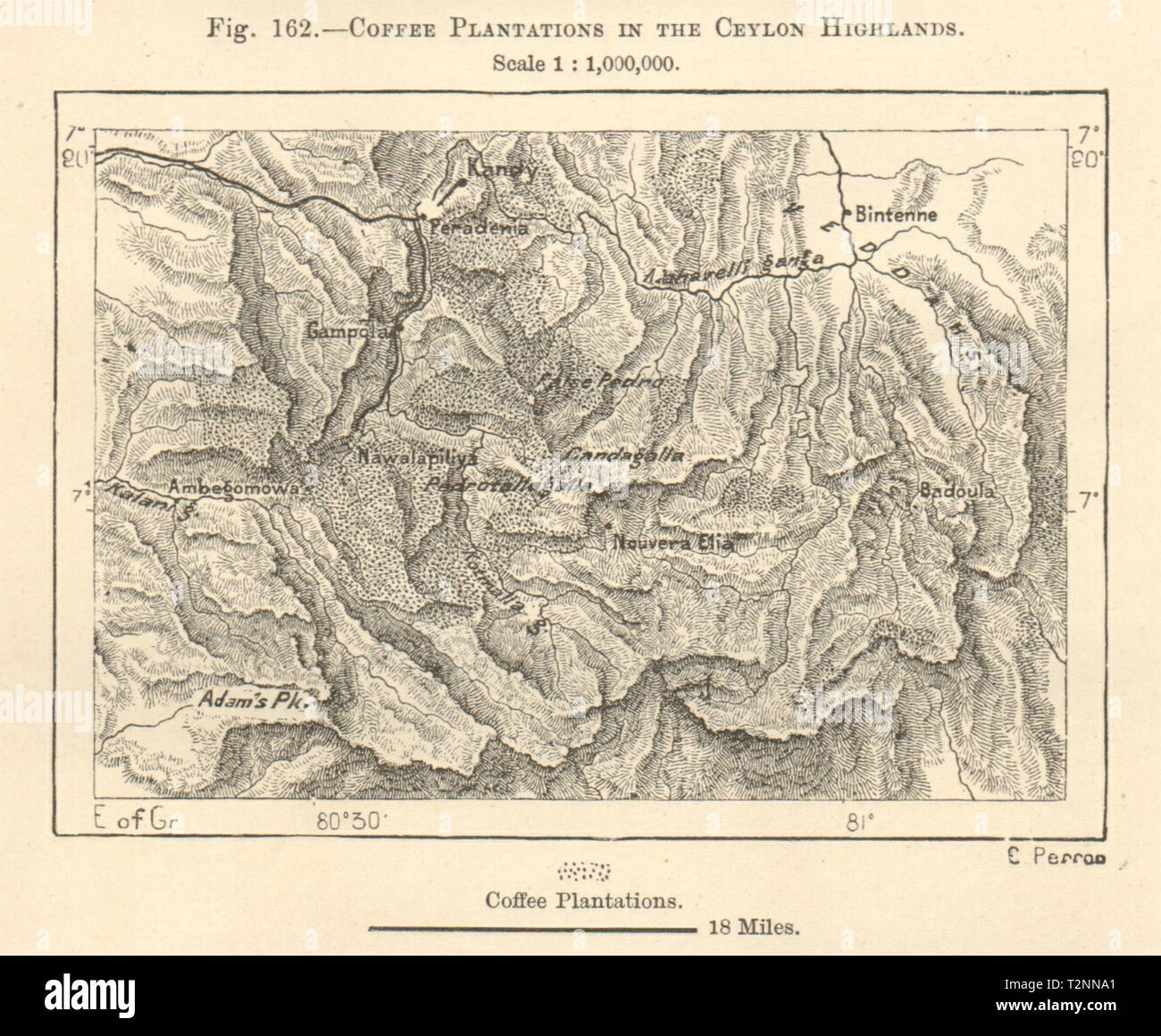 Coffee Plantations in the Ceylon Highlands. Kandy. Sri Lanka. Sketch ...