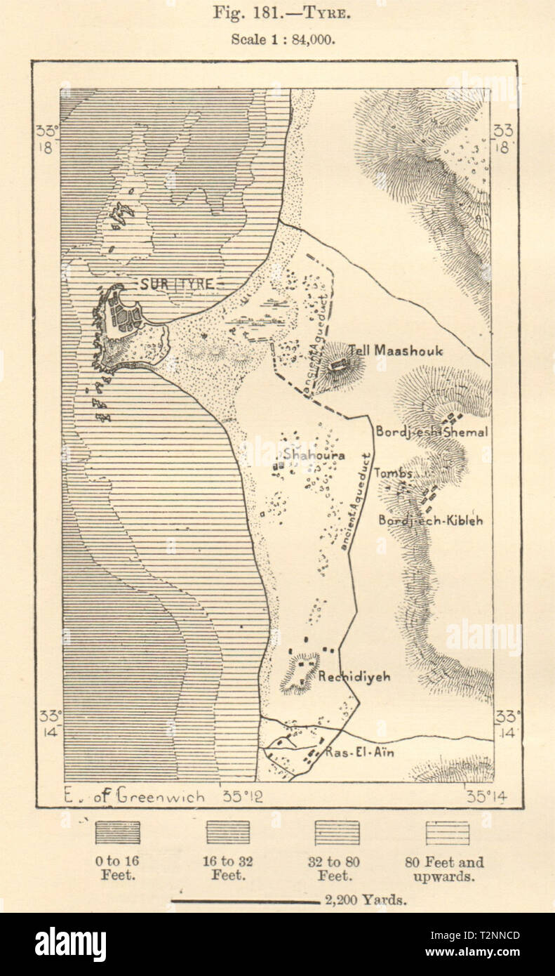 Tyre & environs, Lebanon. Sketch map 1885 old antique vintage plan ...