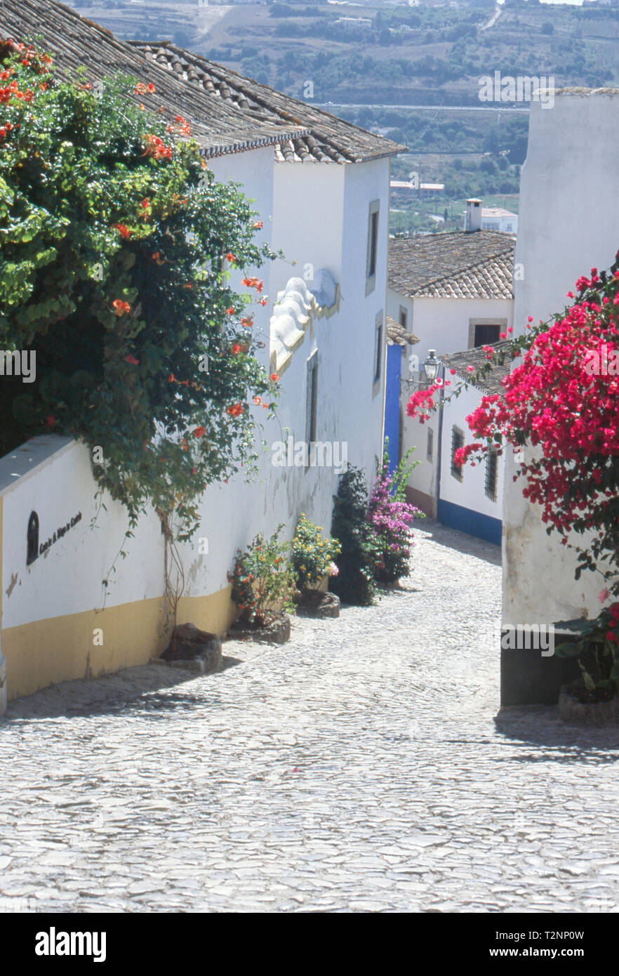 Shrubs and flowers along Small bright alleyway Obidos Estremadura ...