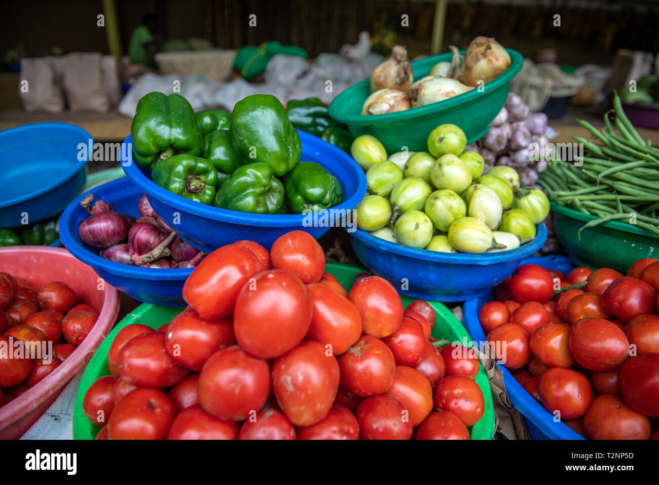 Plastic bins full of various vegetables for sale at outdoor market ...