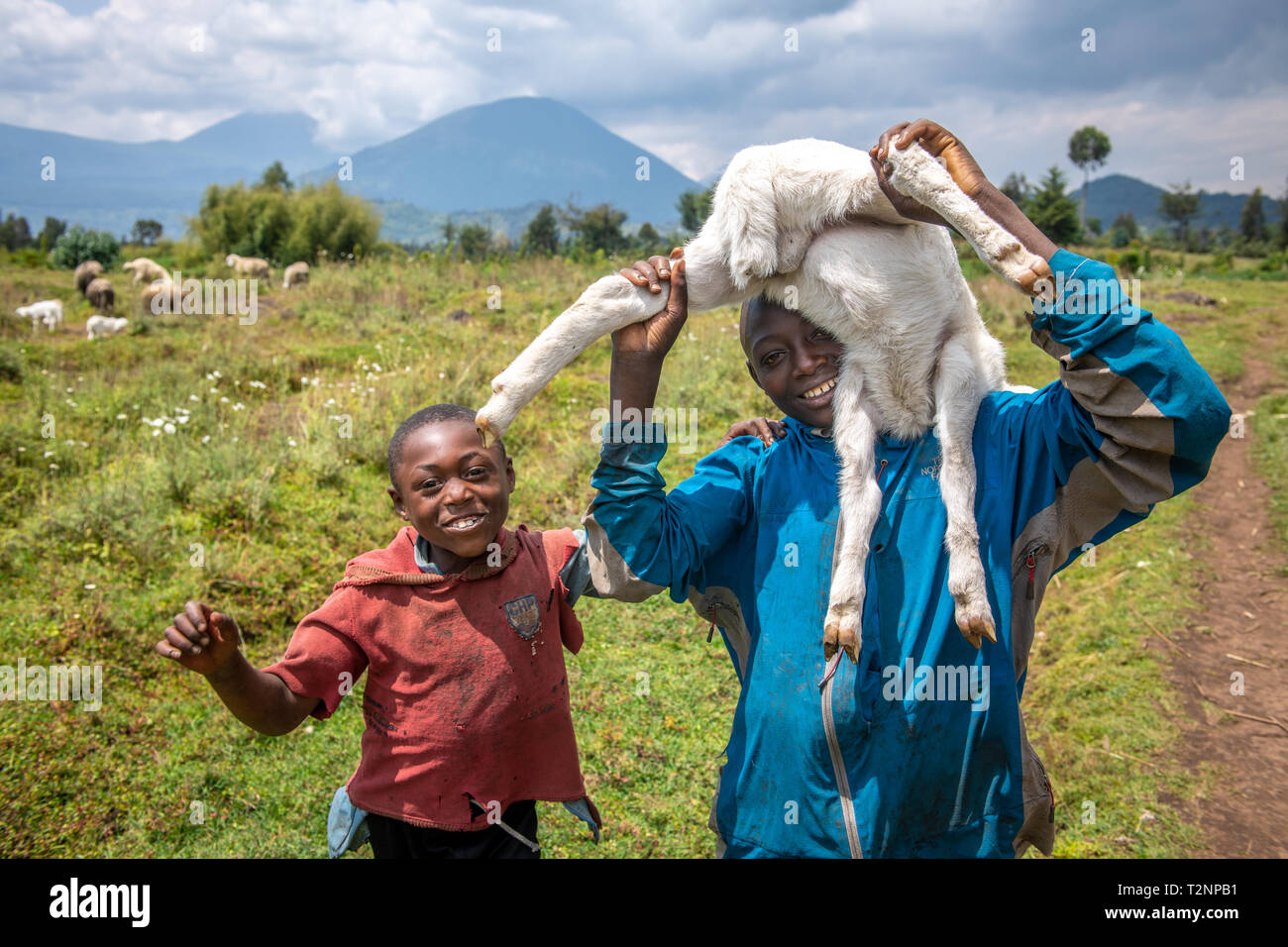 wo boys acting playful while one holds a lamb up over his shoulder ...