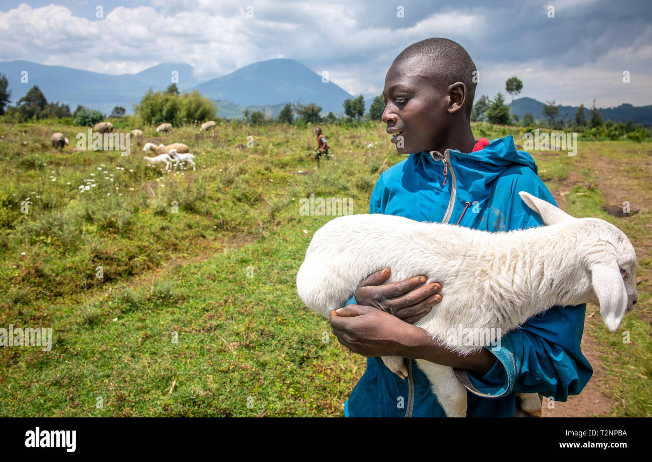 Boy with lamb hi-res stock photography and images - Alamy
