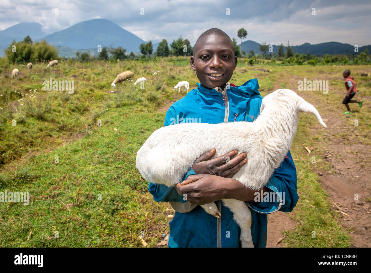 A young boy holds lamb in his arms, Kinigi, Rwanda Stock Photo - Alamy