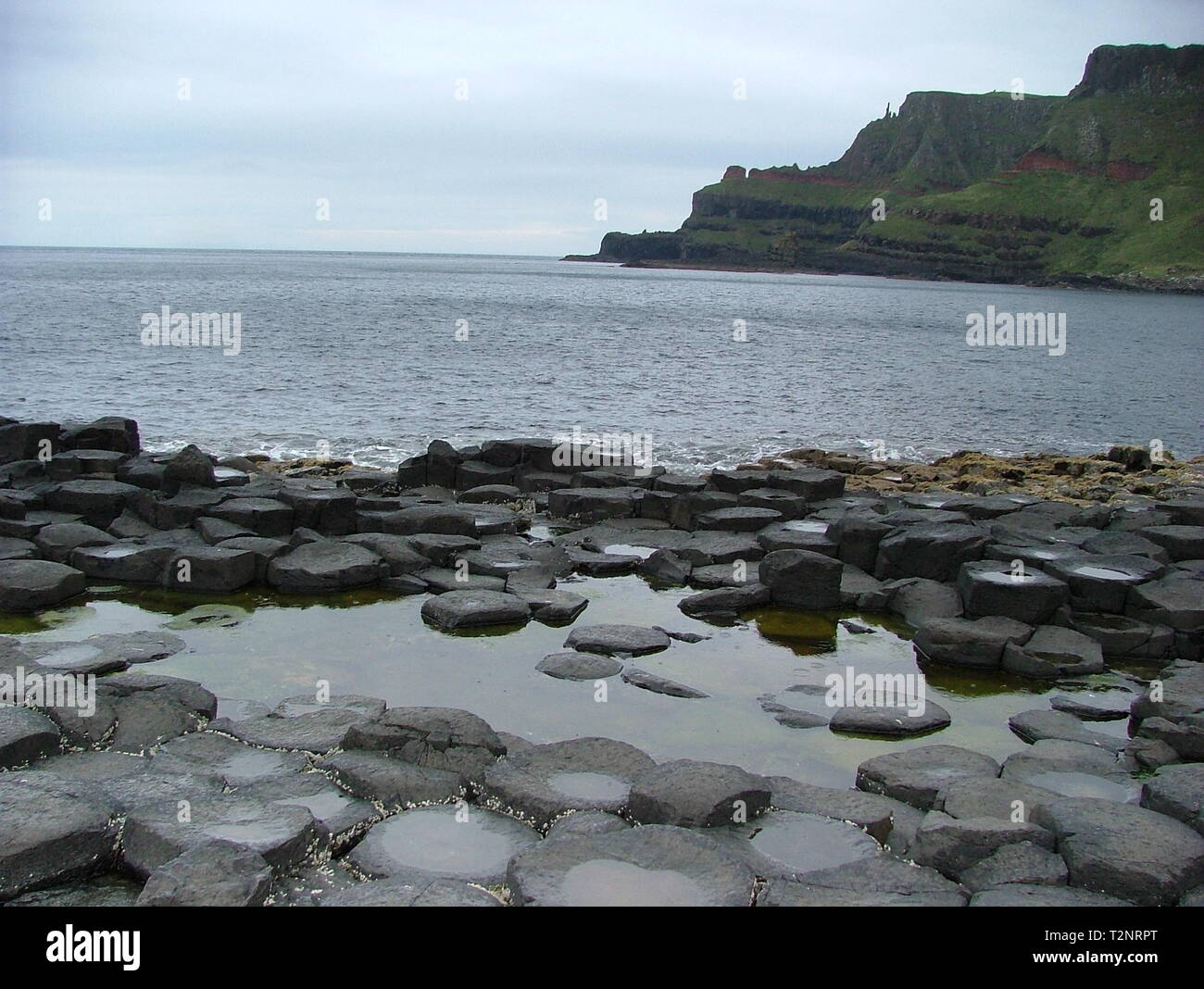 Richard bulkeley hi-res stock photography and images - Alamy