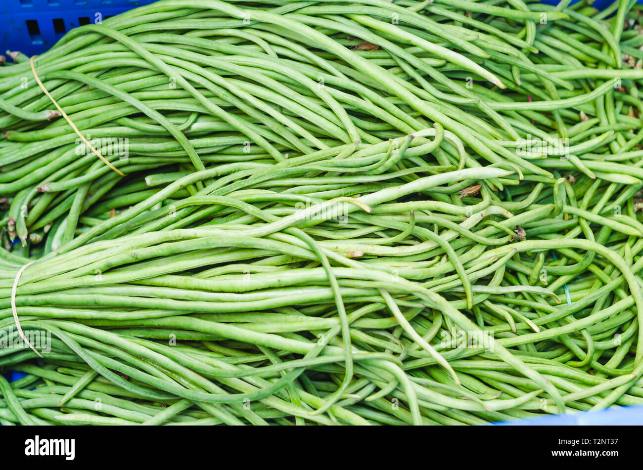 Chinese vainitas long beans for retail sale in a market Stock Photo - Alamy
