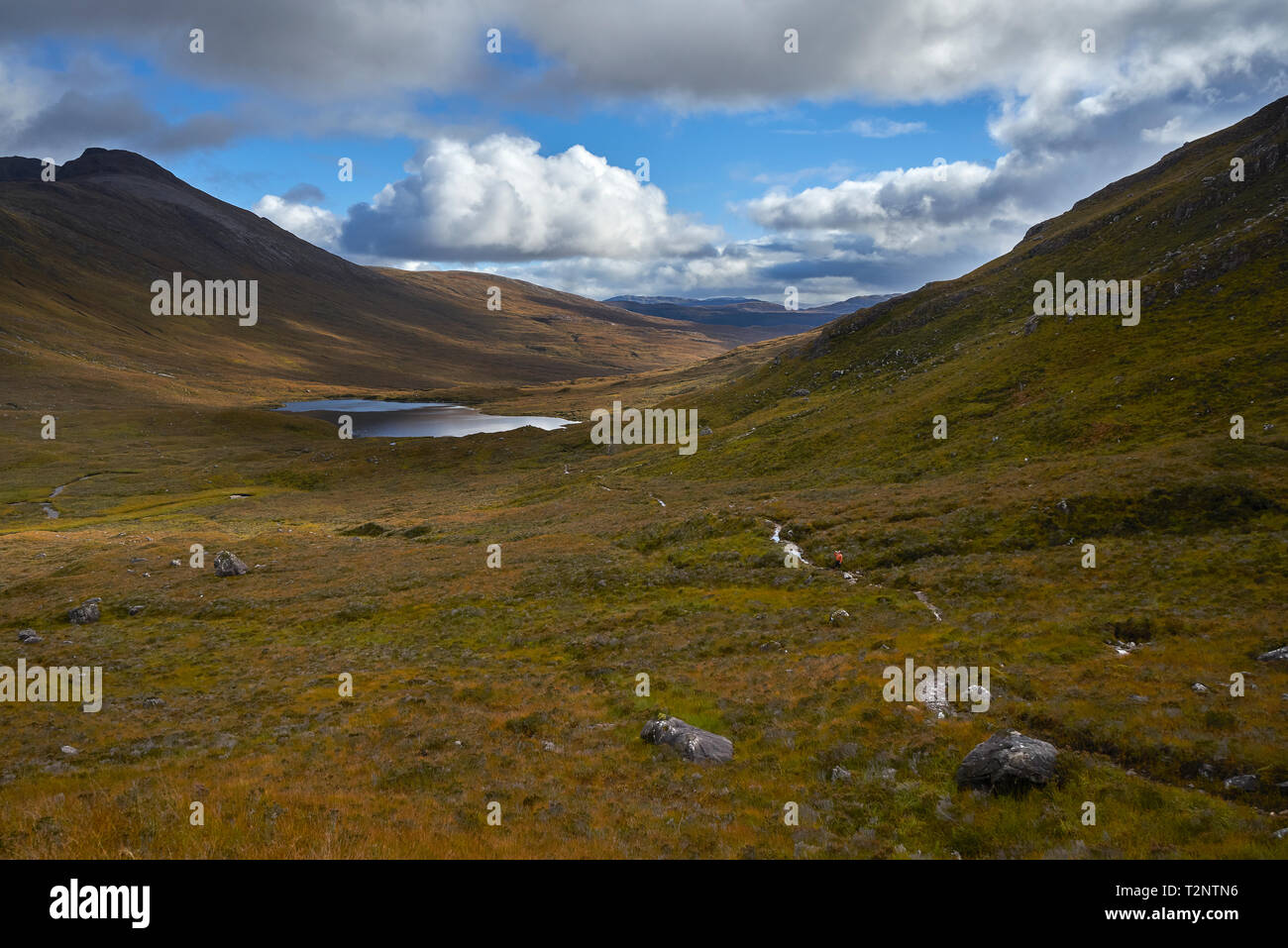 Scottish track cycling hi-res stock photography and images - Alamy