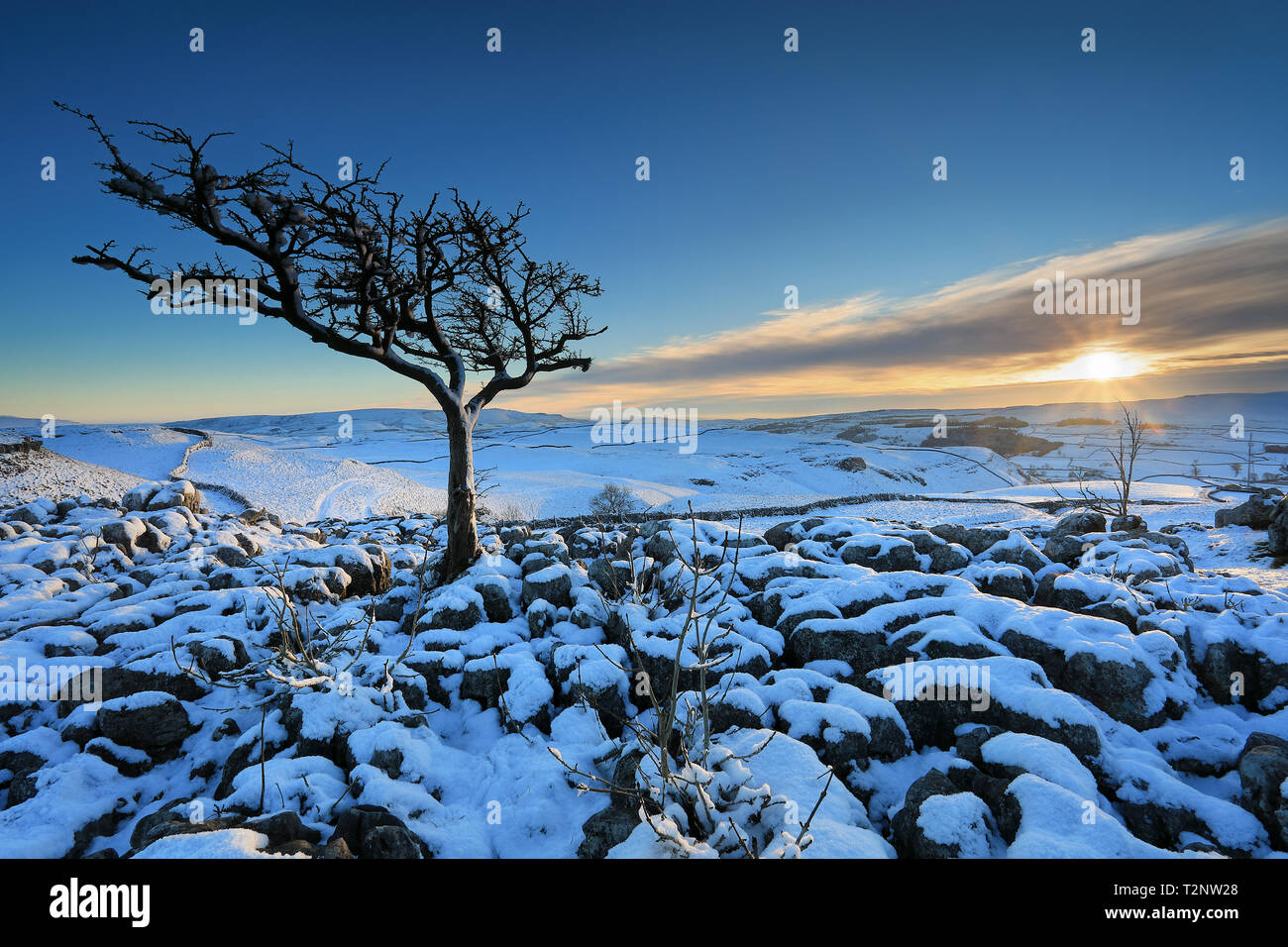 Cool pavement hi-res stock photography and images - Alamy