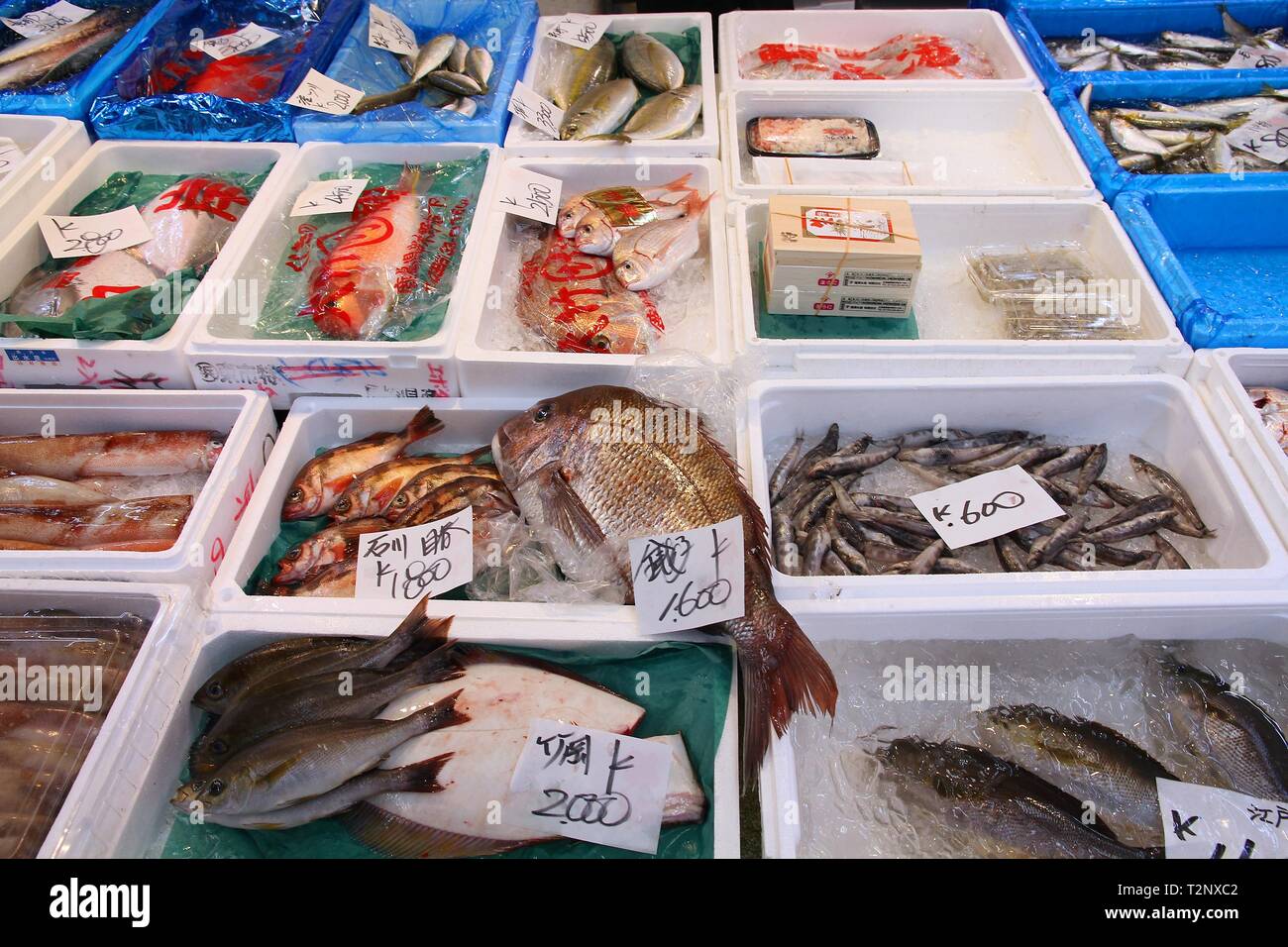 TOKYO, JAPAN - MAY 11, 2012: Seafood choice at famous Tsukiji Fish ...