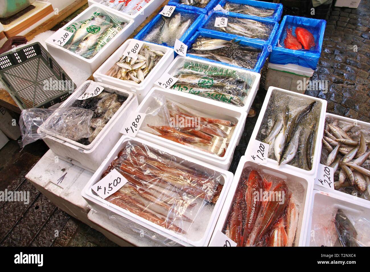 TOKYO, JAPAN - MAY 11, 2012: Seafood choice at famous Tsukiji Fish ...