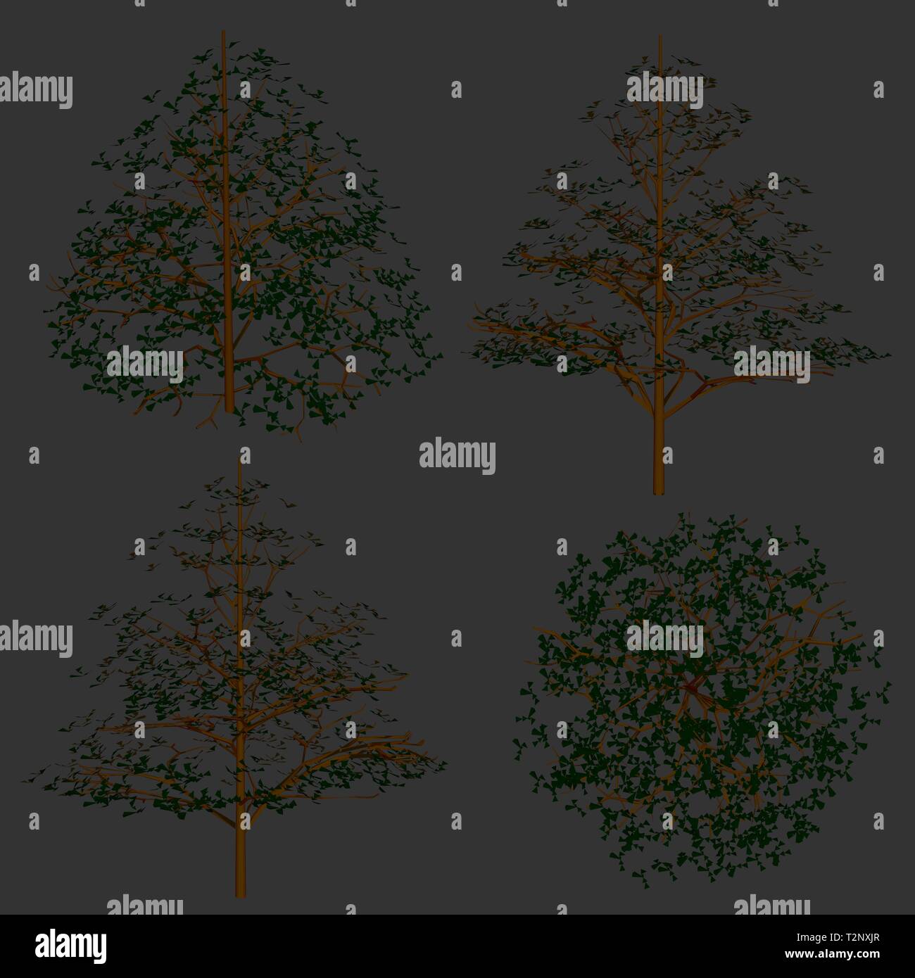 Set with detailed trees. Side view and top. 3D. Vector illustration ...