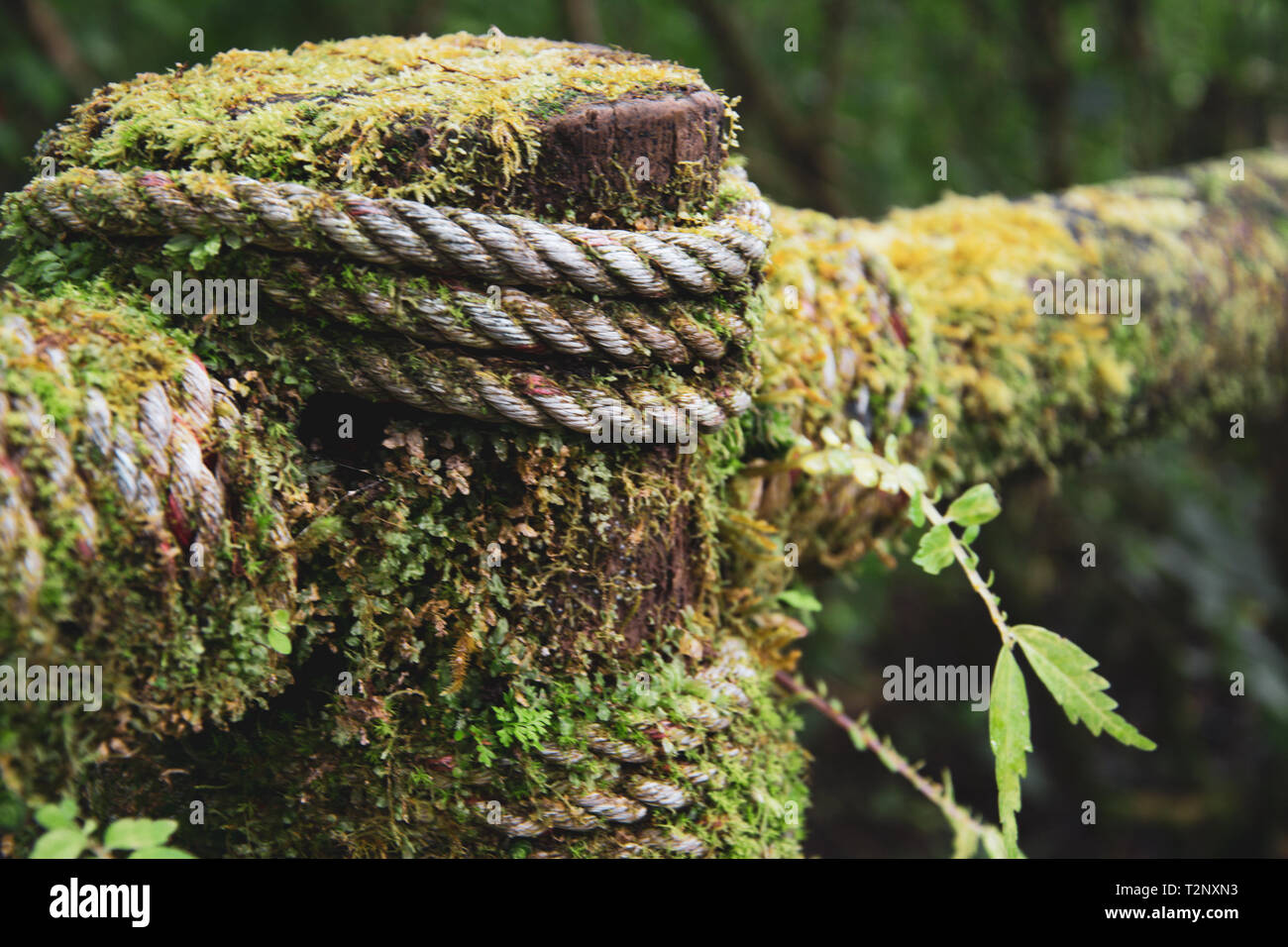 Wet Rope High Resolution Stock Photography and Images - Alamy