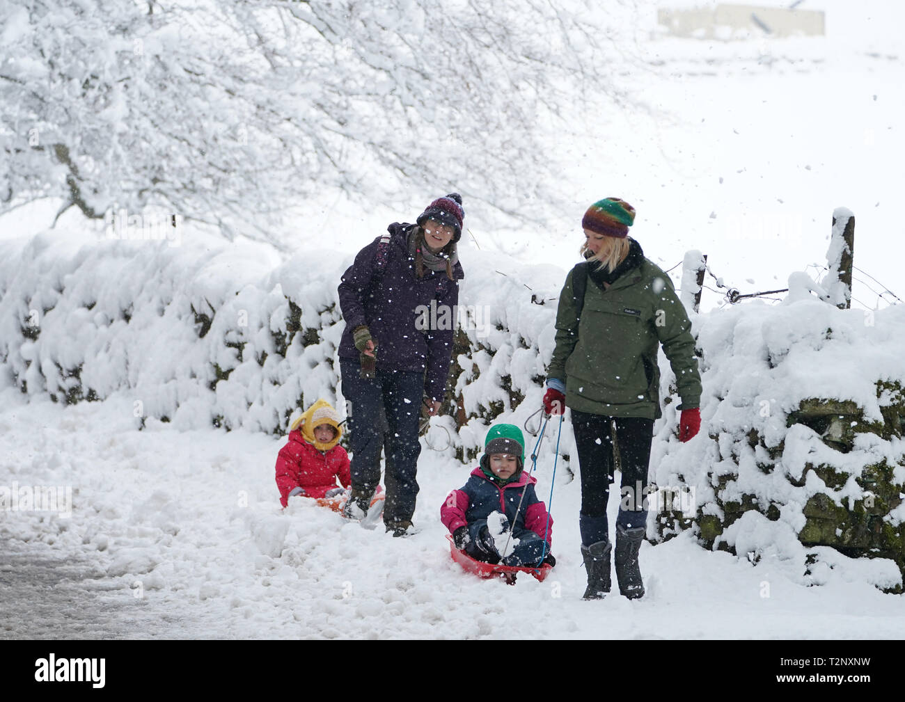 Children are pulled in sledges through the snow in Nenthead, Cumbria ...