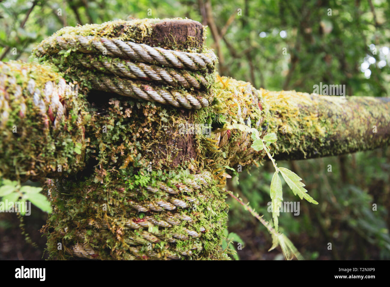Wet rope hi-res stock photography and images - Alamy