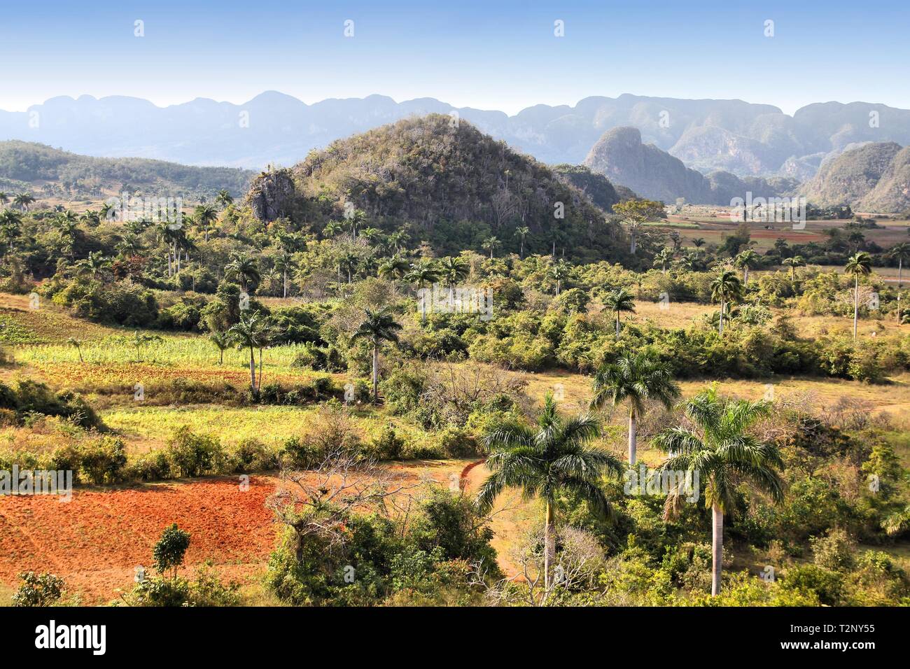 Cuba - famous mogotes karstic landscape in Vinales National Park ...