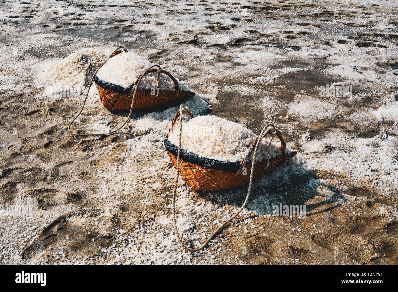 Salt farm thailand hi-res stock photography and images - Alamy