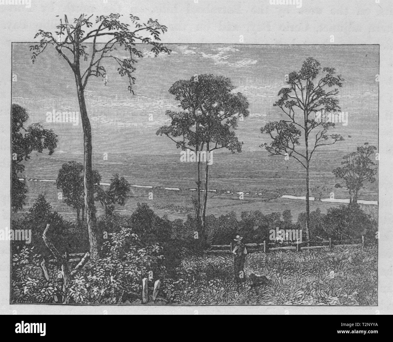 The Emu Plains and Nepean River. The Blue Mountains. Australia 1890 old ...