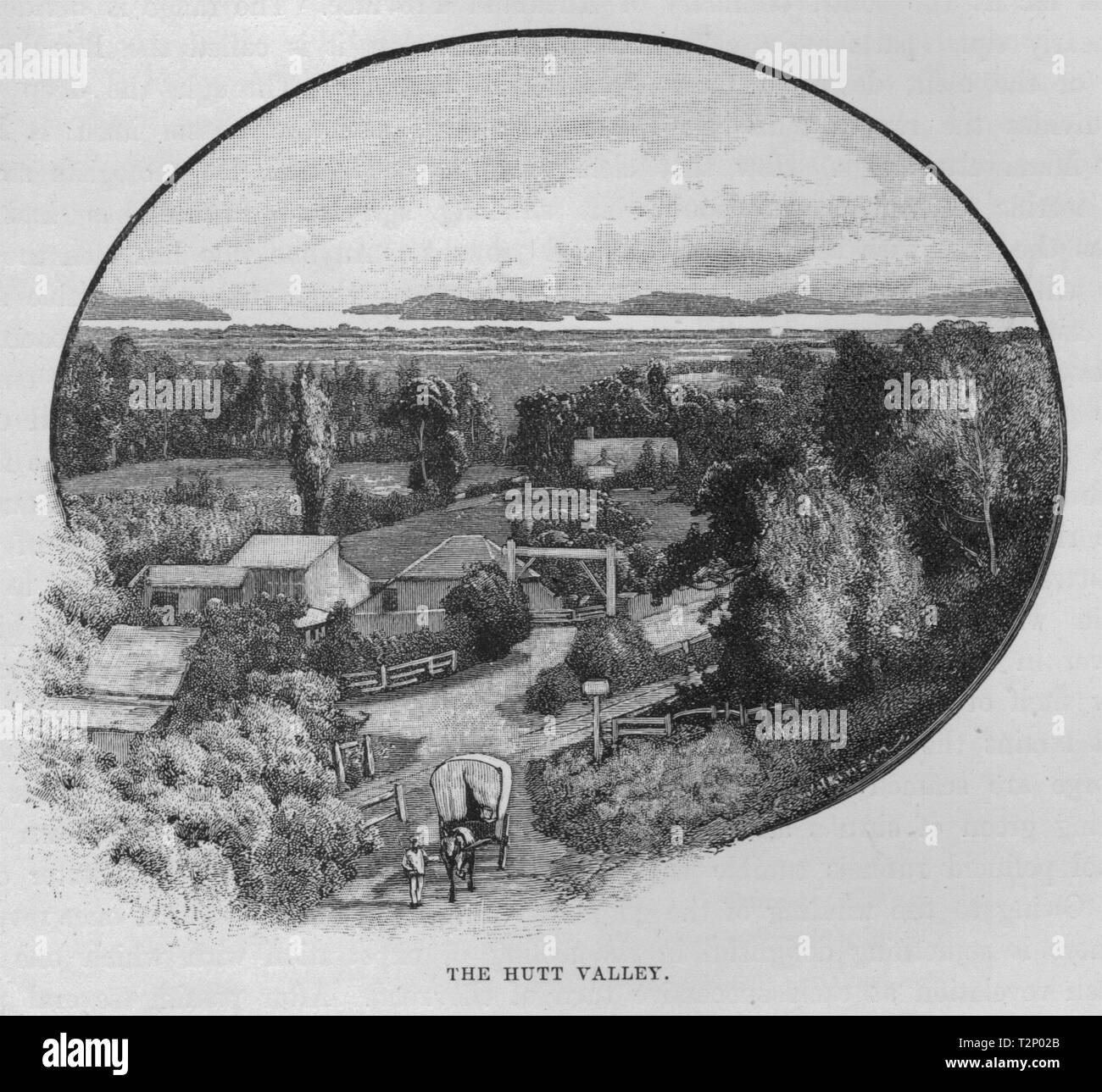 The Hutt Valley. Wellington environs. New Zealand 1890 old antique ...