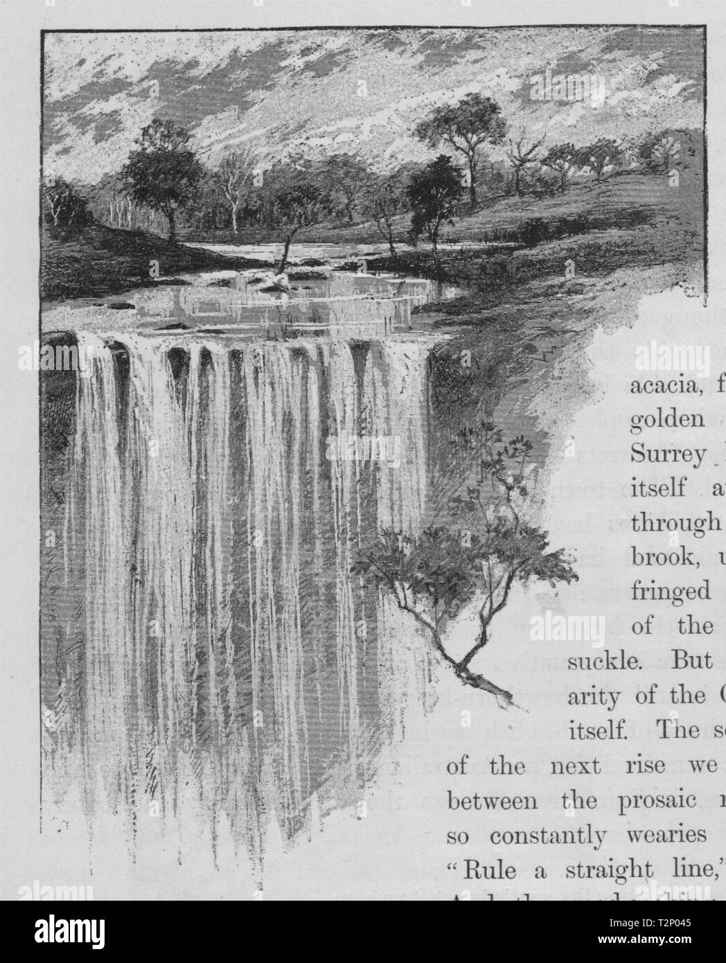 The Wannon Falls. Victoria. Australia 1890 old antique vintage print ...
