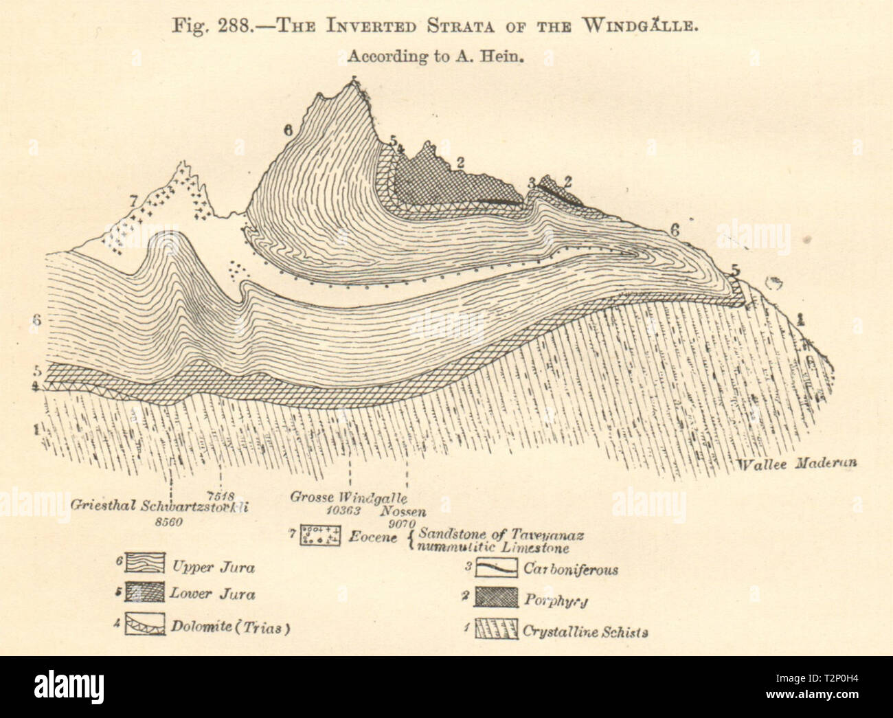Gross windgallen hi-res stock photography and images - Alamy
