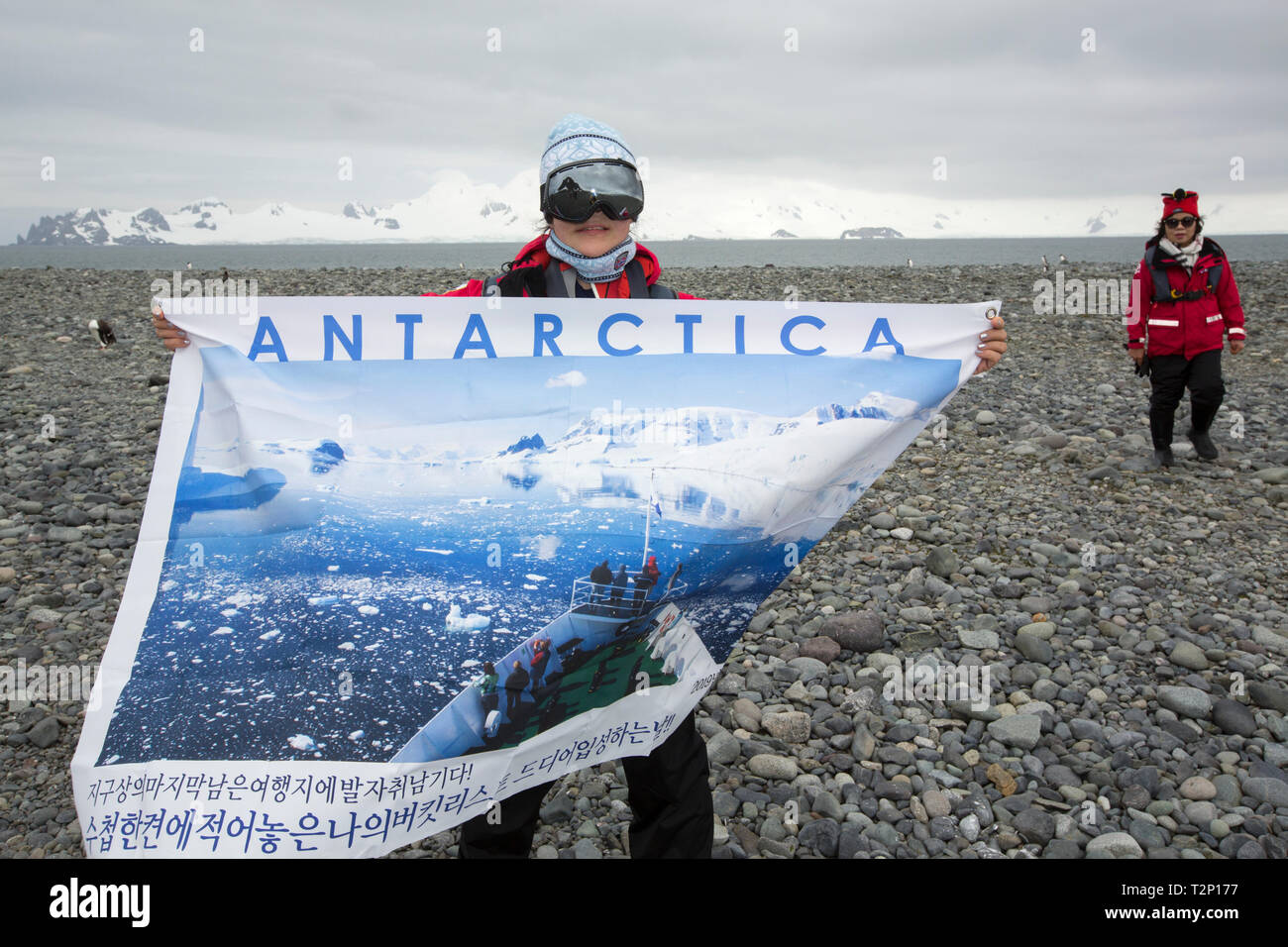 South Korean tourists at Yankee Harbour, Antarctic Peninsular, with an ...