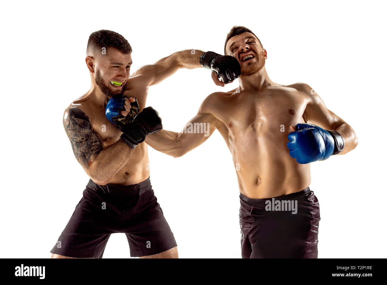 Catching moment. Two professional fighters posing isolated on white ...