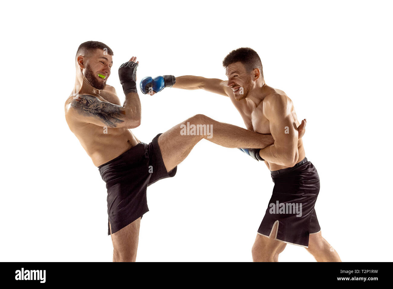 Decisive moment. Two professional fighters posing isolated on white ...