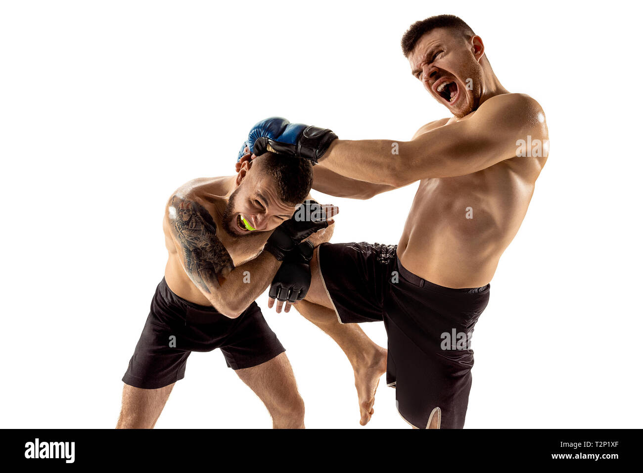 Through the pain. Two professional fighters posing isolated on white ...