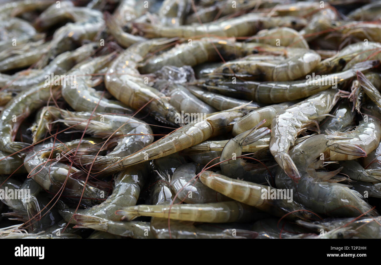 Naklua fish market hi-res stock photography and images - Alamy
