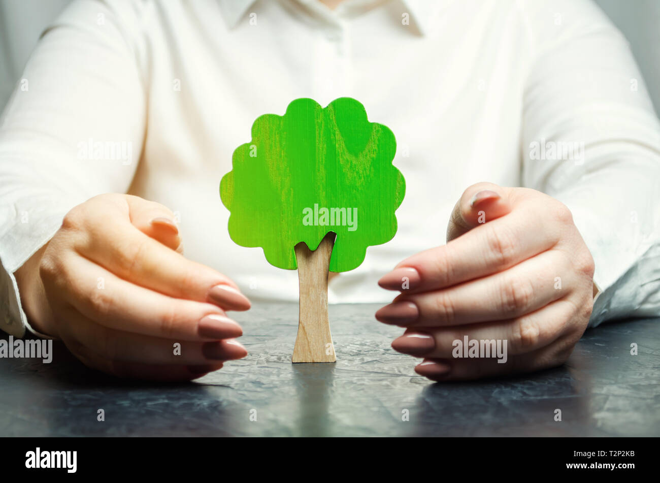 Woman protects a miniature green tree. Saving the environment and ...