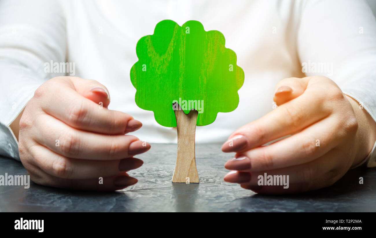 Woman protects a miniature green tree. Saving the environment and ...