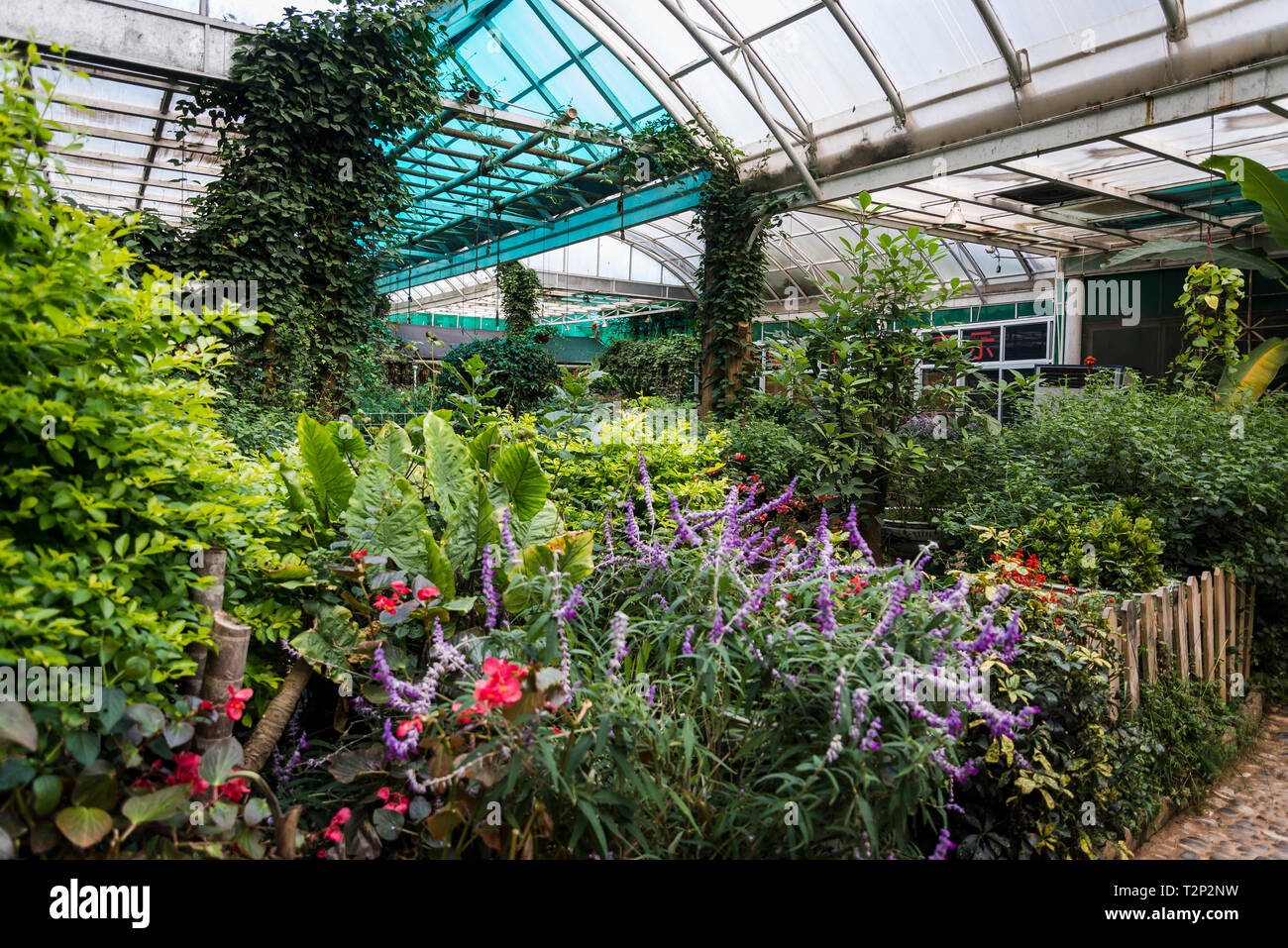 Butterfly house, Butterfly Spring Park, Dali Old Town, Yunnan province ...
