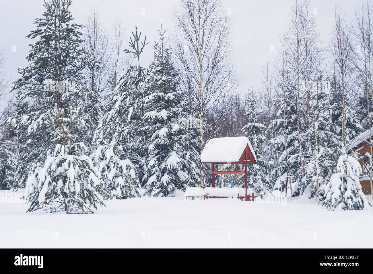 Wooden well in the forest on the territory of a private house in winter ...