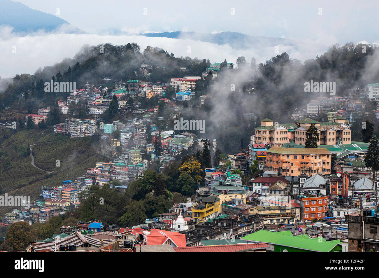 Darjeeling is a city and a municipality in the Indian state of West ...