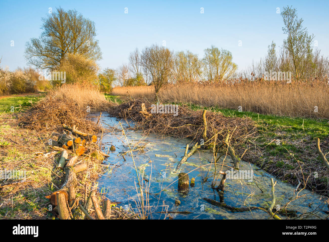 Fen landscapes hi-res stock photography and images - Alamy