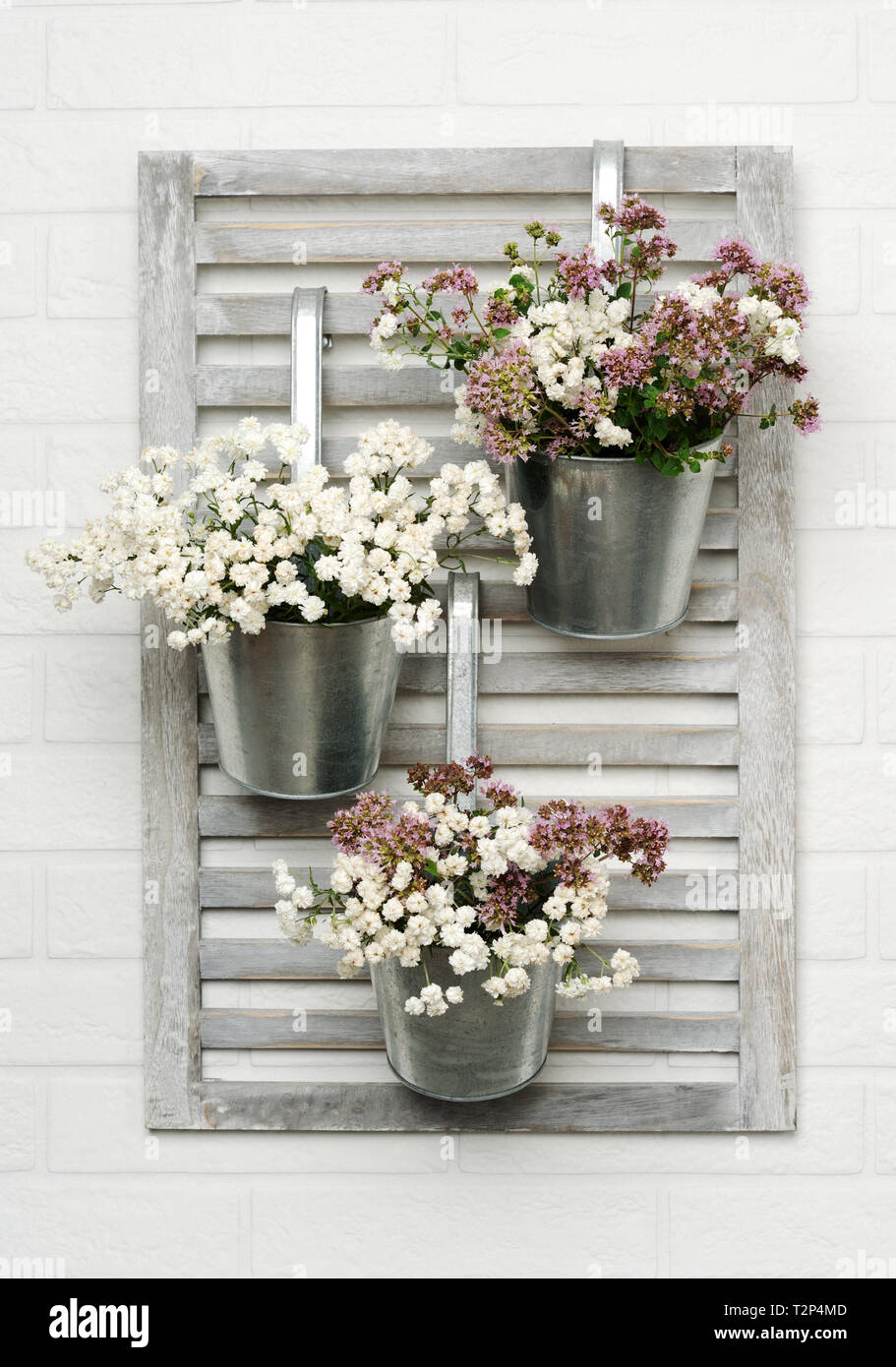 Wooden flower containers hi-res stock photography and images - Alamy