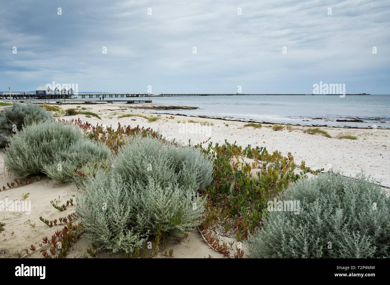 Wooden jetty on the sandy beach hi-res stock photography and images - Alamy