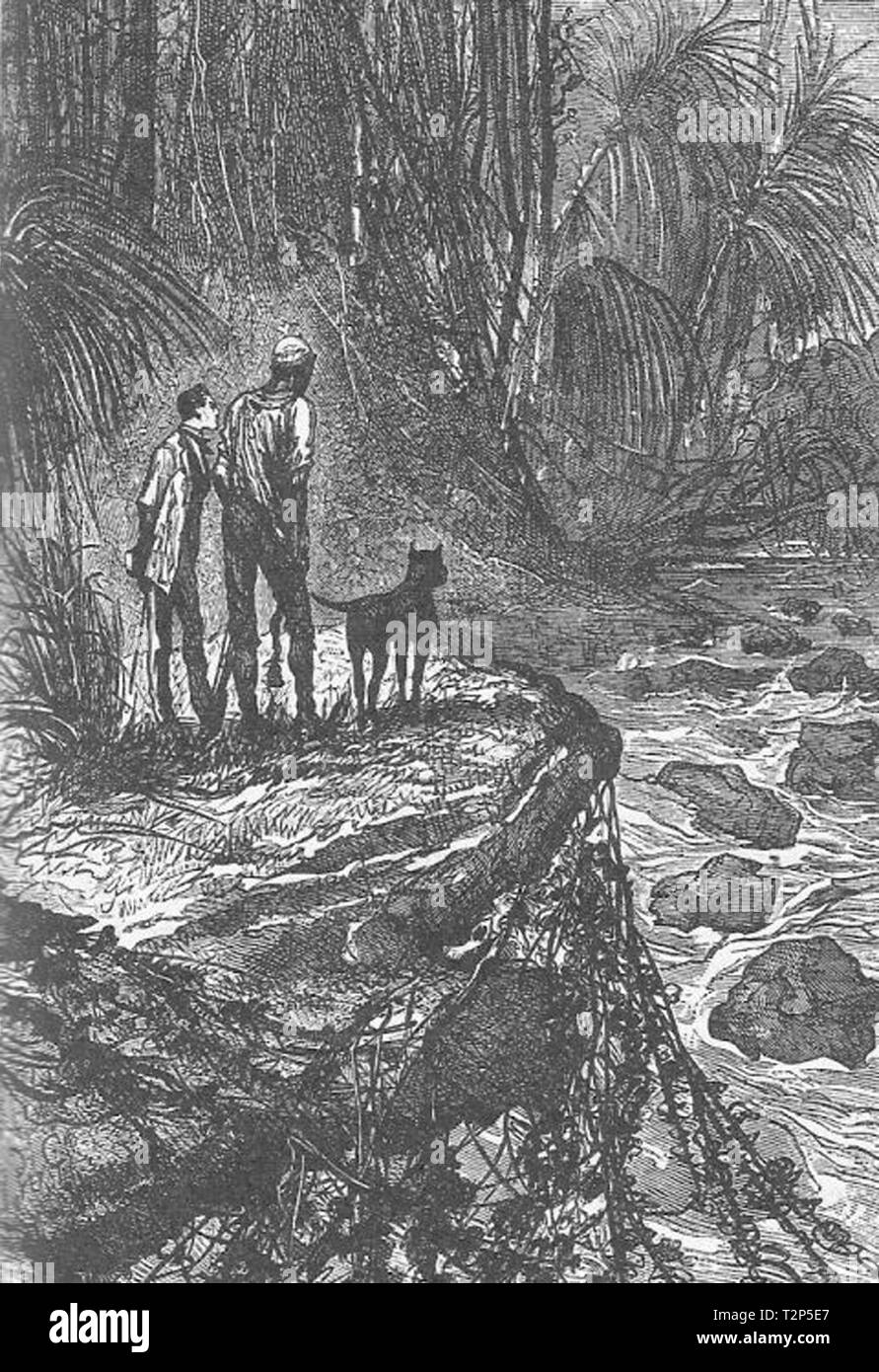 Vintage etching illustration Stock Photo - Alamy