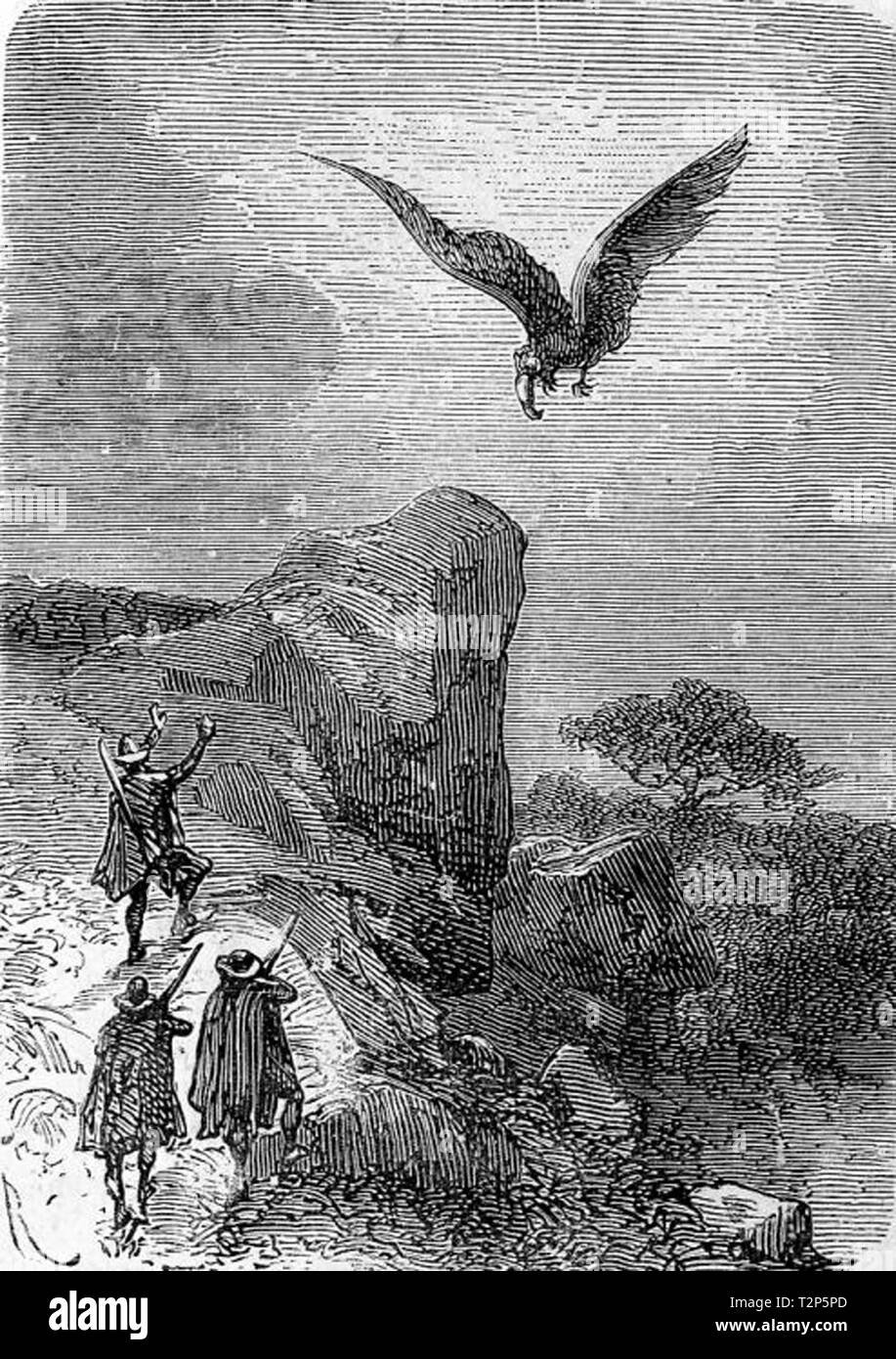 Vintage etching illustration Stock Photo - Alamy