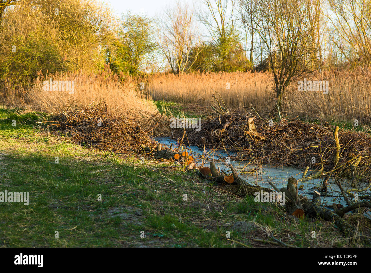 Fen landscapes hi-res stock photography and images - Alamy