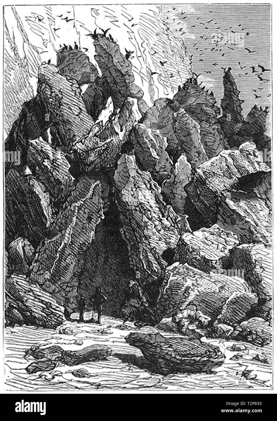 Vintage etching illustration Stock Photo - Alamy