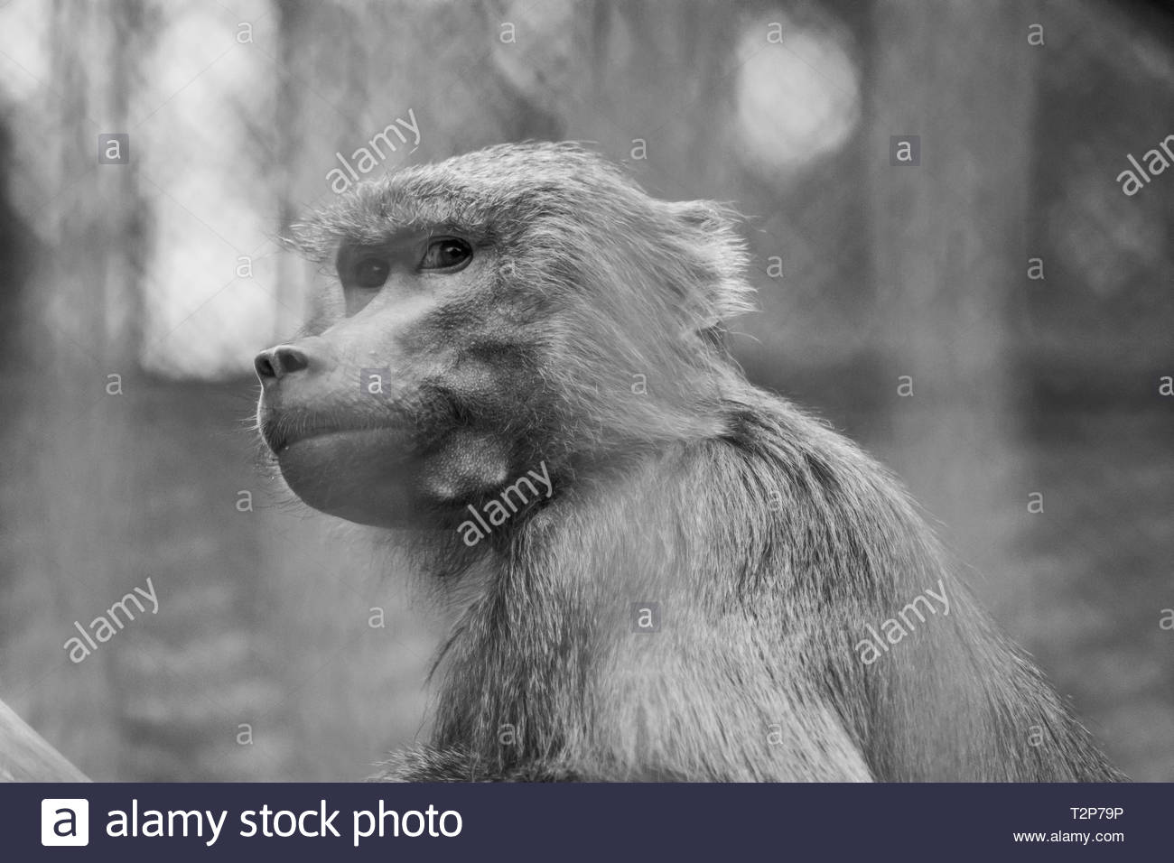 Stop Abuse High Resolution Stock Photography and Images - Alamy