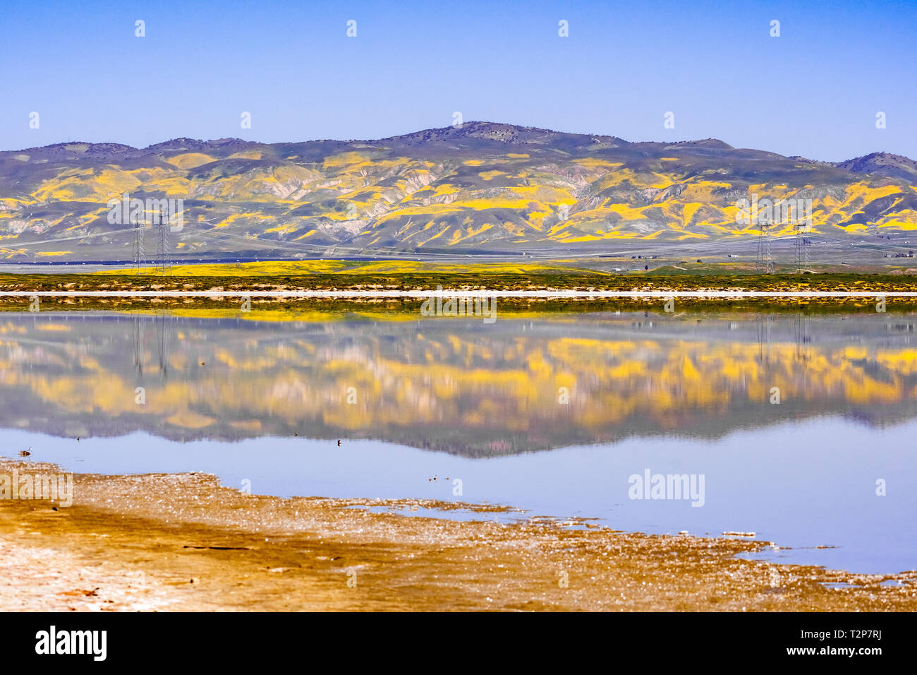 Wildflower covered mountains reflected in the temporary waters of Soda ...