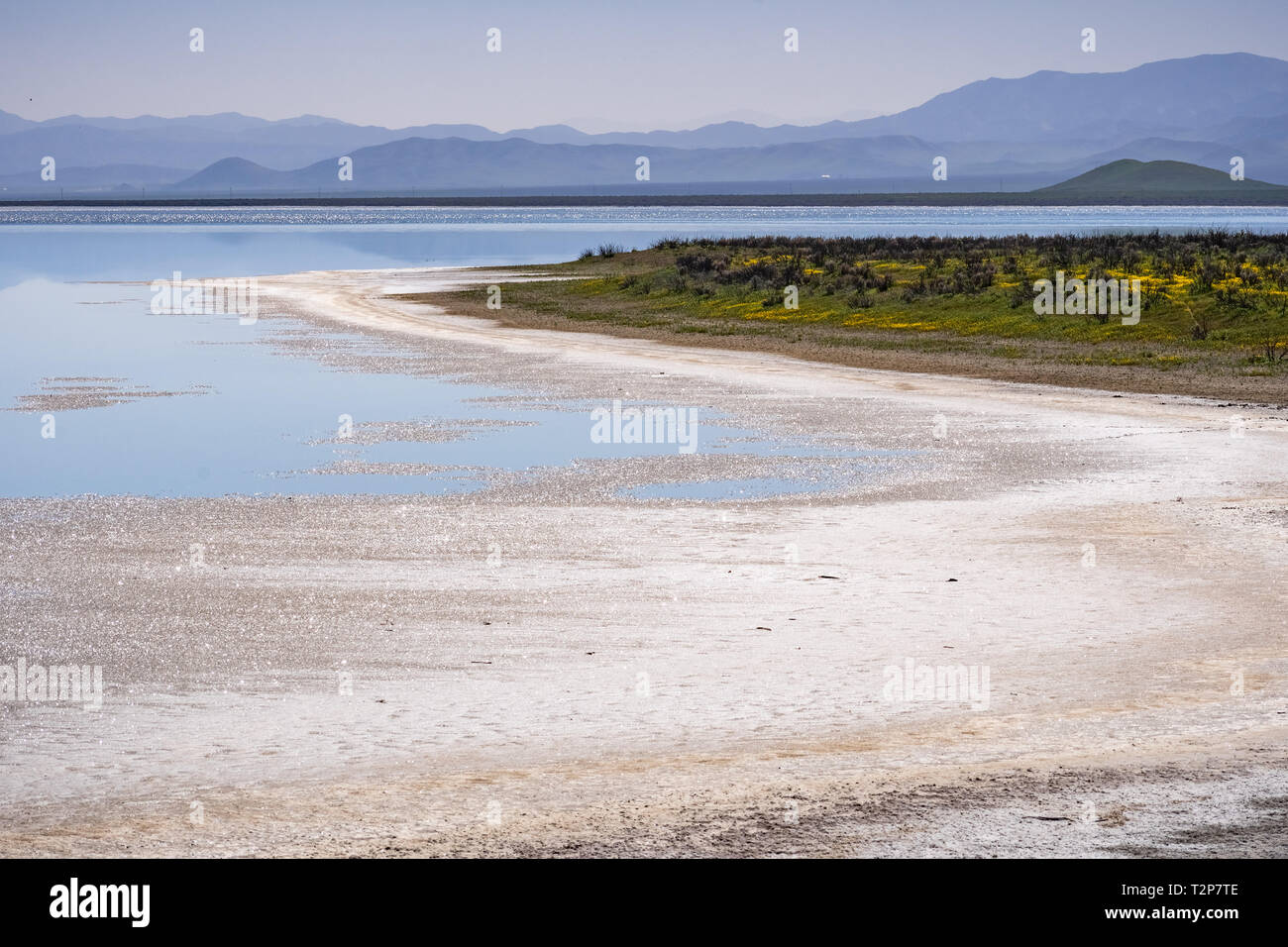 Salt crystals on the shoreline of the temporary Soda Lake, Carrizo ...