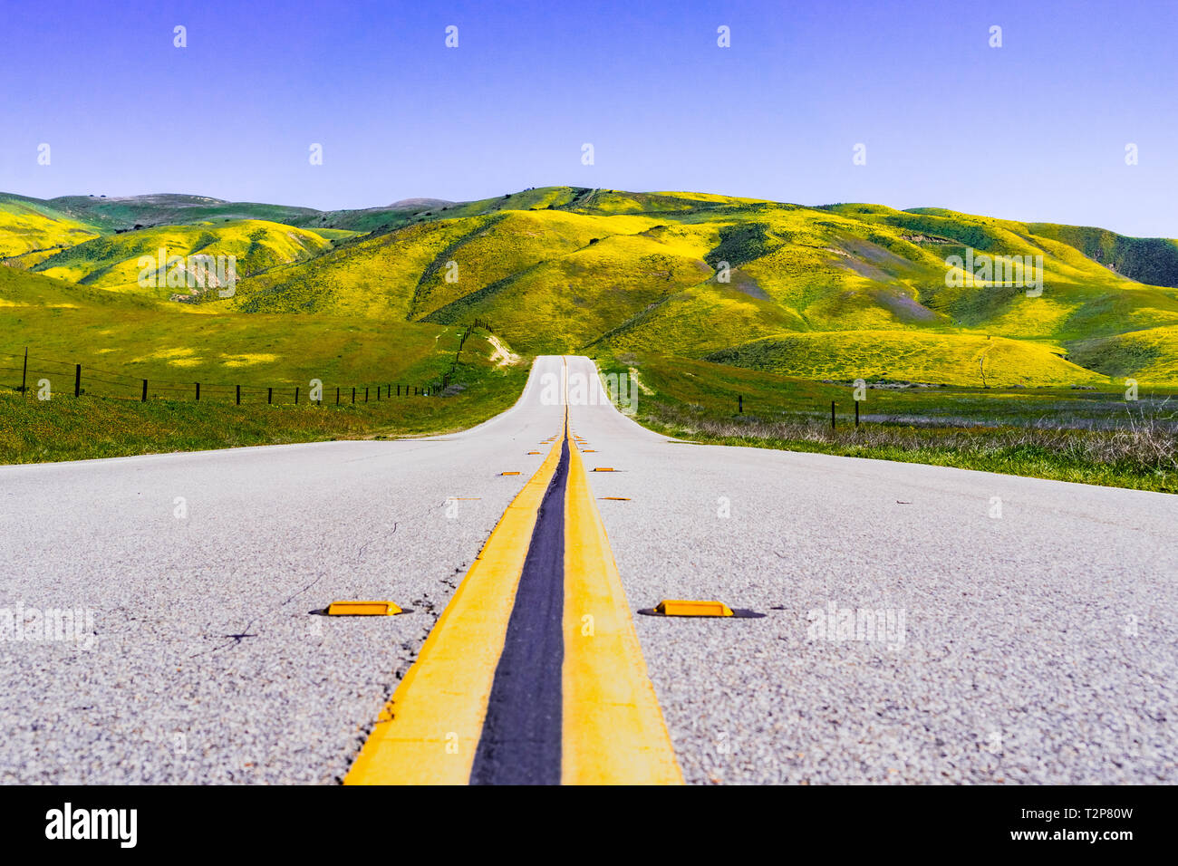 Paved highway going through mountains covered in wildflowers, Carrizo ...