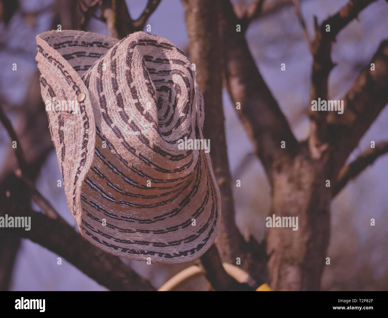 Hat on a tree branches Stock Photo - Alamy