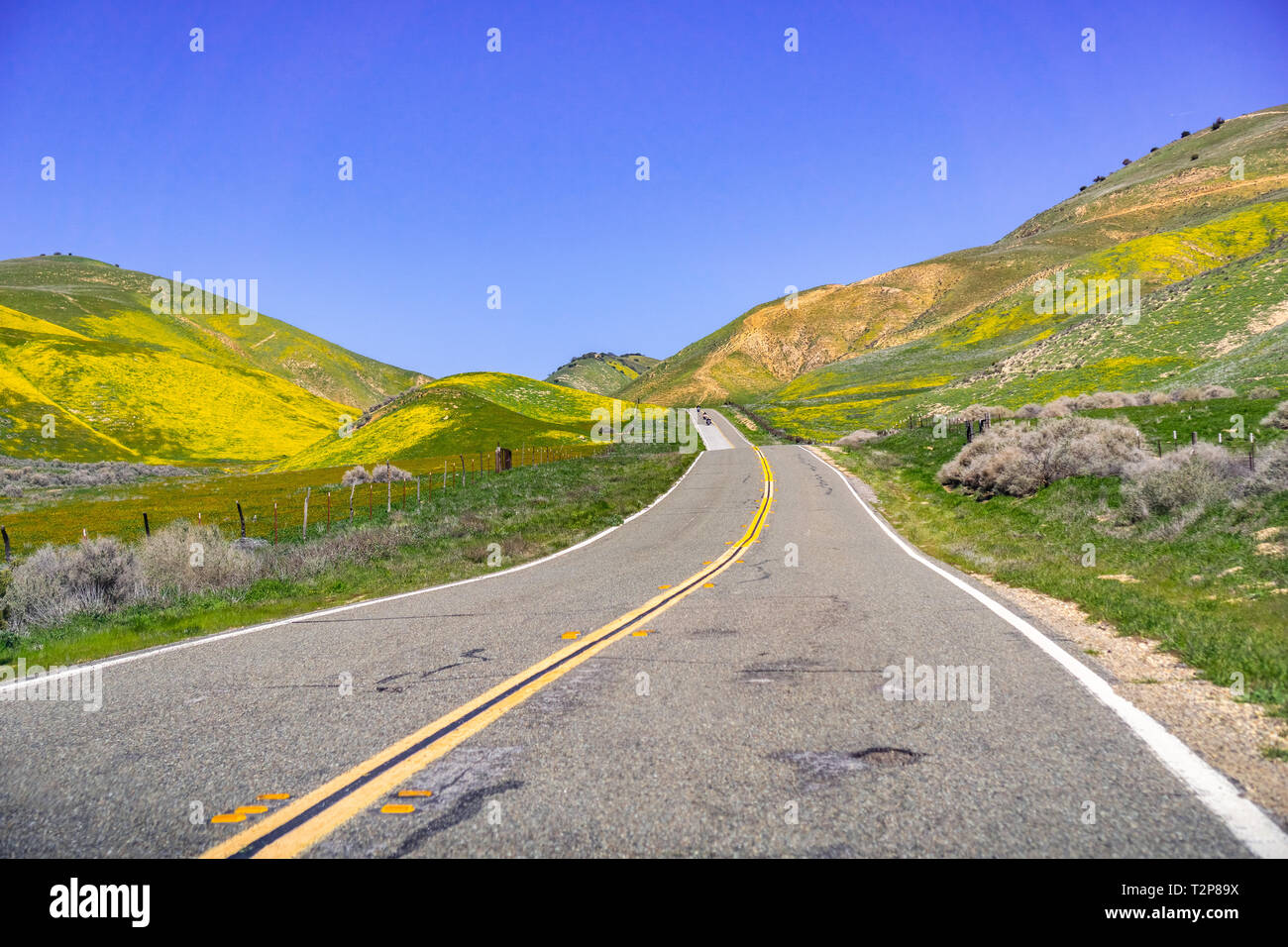 Paved highway going through mountains covered in wildflowers, Carrizo ...